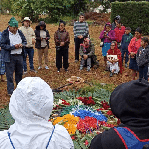 COP30 y Cumbre de los Pueblos | The Coalition for Human Rights in ...